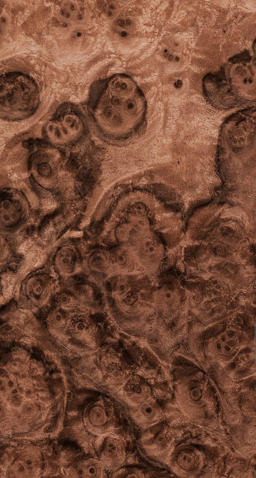 Walnut Burl | Warenoff